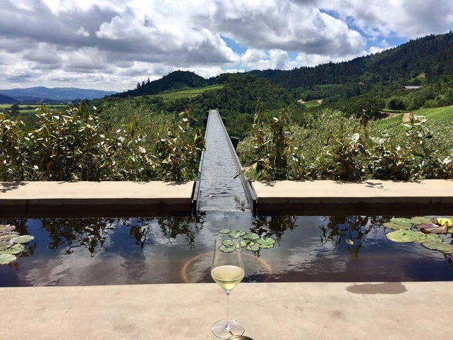 Promontory Winery, Napa | En Primeur Club
